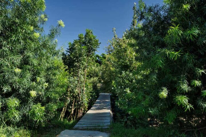 Batis and Bass River Camp